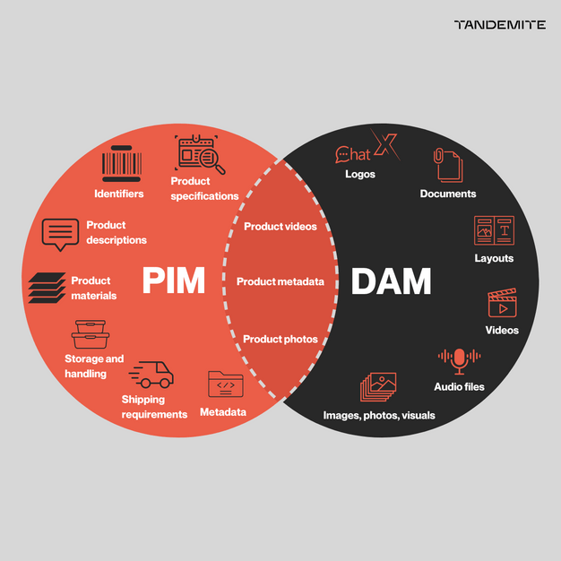 PIM vs DAM comparison: What each system does and which one to choose?